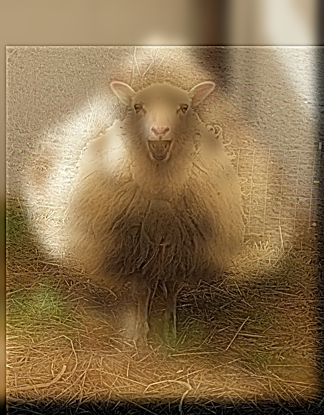 CS180 Project 2: Fun with Filters and Frequencies!